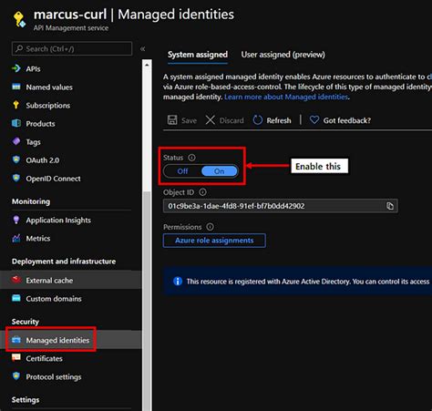 Secure Azure Blob Storage With Azure Api Management And Managed Identities By Marcus Tee