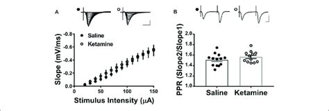 Iv Ketamine Does Not Alter Basal Synaptic Transmission At Ca3 Ca1