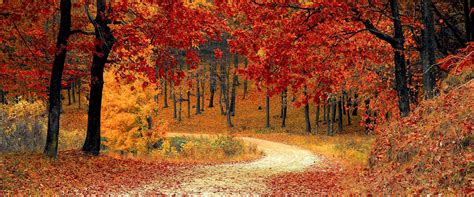 Autumn Ultrawide Wallpapers Wallpaper Cave