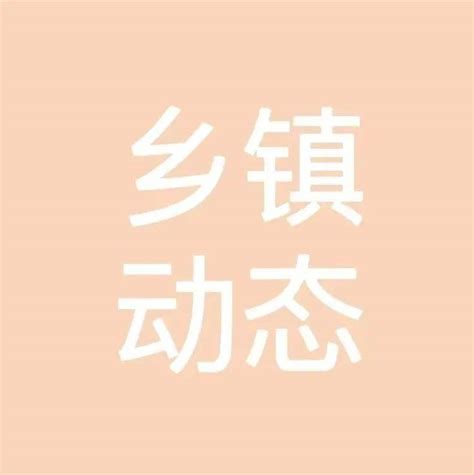 施甸酒房：抓早抓小 筑牢拒腐防变“第一道防线”酒房乡谈话工作