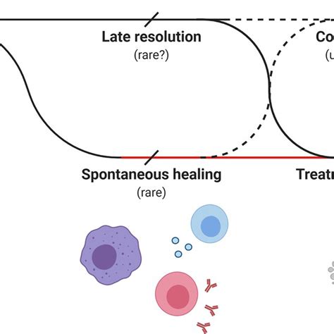 Overview Of The Host‐pathogen Interaction Determining The Different