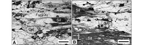 Photomicrographs Showing The Mineral Assemblage Of Download