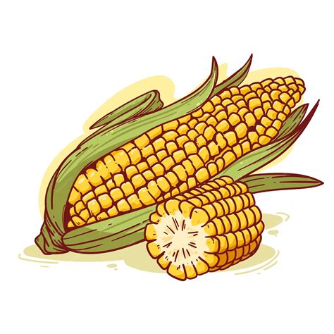 Premium Vector Hand Drawn Corn On The Cob Drawing Illustration
