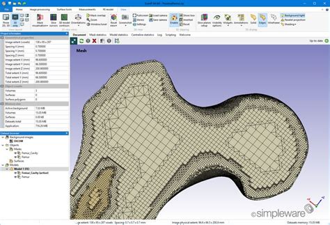 Internal View Of A Meshed Femur With Fe Grid Meshing Algorithm