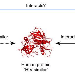 Diagram Of Approach HIV 1 Proteins Showing Structural Similarity To