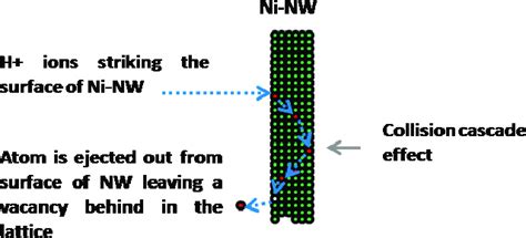 Model Diagram Of Collision Cascade E®ect In Ni Nws After Irradiating
