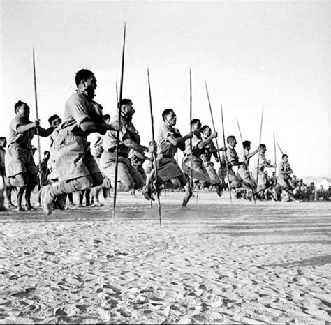 圖說二戰中毛利戰士，跳著舞遠征非洲，對抗隆美爾的非洲軍團 壹讀