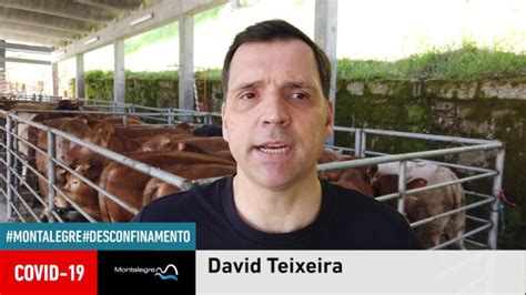 Venda De Vitelos O Segredo Para Lucrar Na Engorda Actualizado