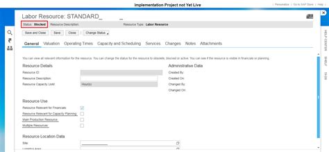 Problem Solved ByD Error Labor Resource Assignme SAP Community