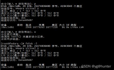 linux下的磁盘管理之lvm详解及lvm的常用磁盘操作命令 lvm命令 csdn博客