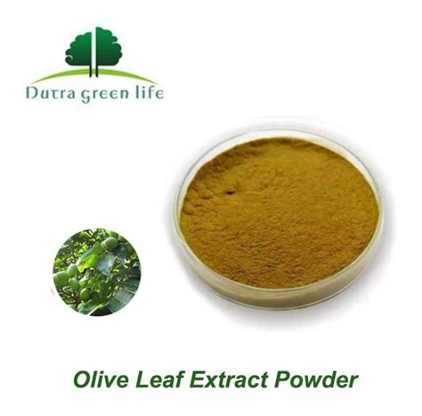 China Organic Olive Leaf Extract Powder Manufacturers Factory