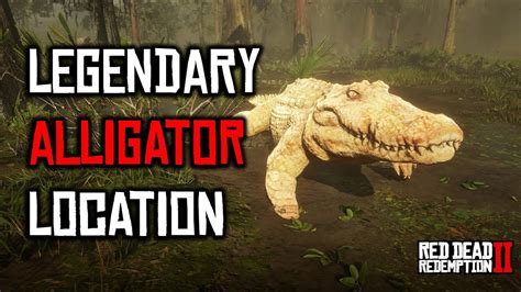 Red Dead Redemption 2 Legendary Alligator Location Youtube