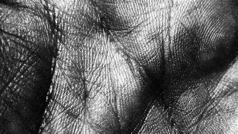 Can We Reverse Memory Loss What The Science Says