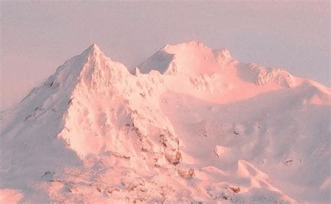 疫情放开后，第一批出境的中国游客，已经出事了隔离旅客核酸