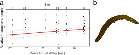 A The Tipulid Has More Negative Interactions At Low Water Volumes