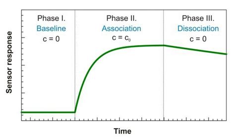 Typical SPR Sensor Response Corresponding To Real Time Measurement Download Scientific