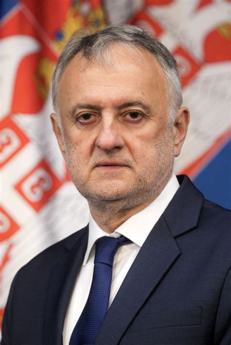 Zoran Gajić Imovina Zarada Biografija Krik