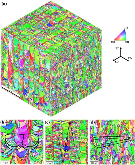 Typical Microstructure Of Lpbf 316l Ss As Seen By Sem Ebsd A 3d Download Scientific Diagram
