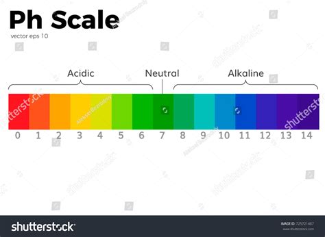 Ph Scale Universal Indicator Ph Color Chart Vector Image Images