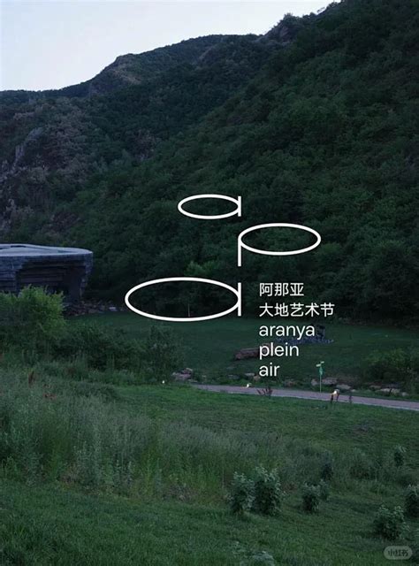 阿那亚品牌形象设计