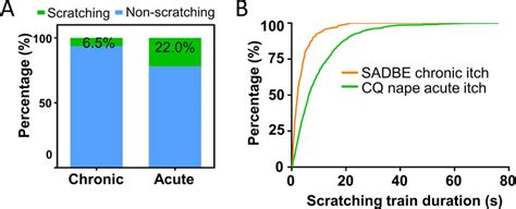 Scratch Aid A Deep Learning Based System For Automatic Detection Of