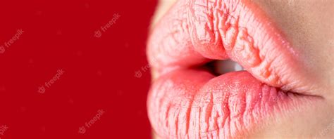 Premium Photo Close Up Macro Beautiful Mouth Sensual Makeup Isolated