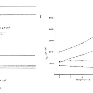 A Na Currents Recorded During Steps To 20 MV At Each Of The
