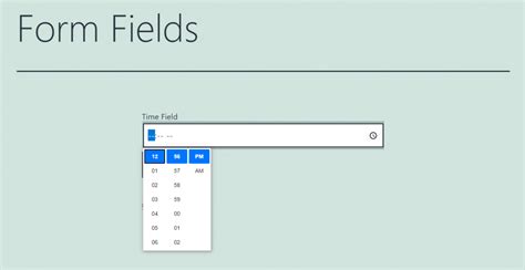 jetformbuilder time field overview crocoblock
