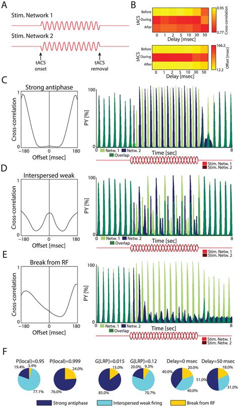 Antiphase Tacs Induced New Behaviors During Stimulation A Schematic