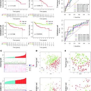 Survival Analysis Of CRC Patients In The Training And Validation