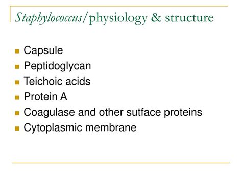 Ppt Staphylococcus Streptococcus Enterococcus Powerpoint Presentation