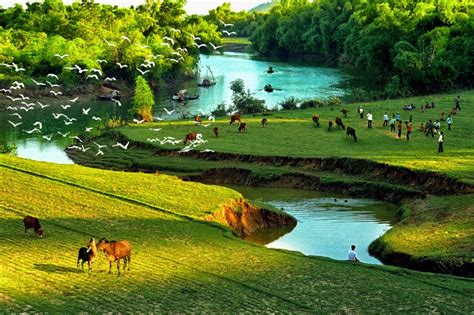 500 Hình ảnh Vẻ đẹp Quê Hương Những Khoảnh Khắc đẹp