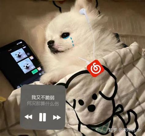 一直单身的原因究竟是什么？如何才能精准找到合适的人谈恋爱？ 知乎