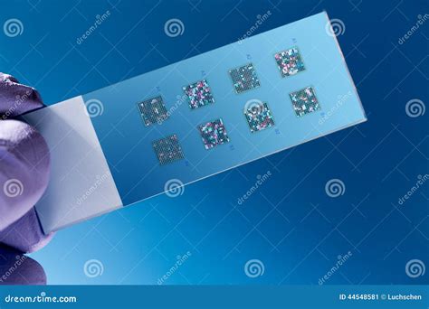 Biochip Stock Image Image Of Glove Identity Microarrayer 44548581