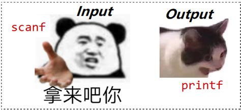 【c语言趣味教程】8 标准 Io 流：输入和输出 标准输入 Stdin 标准输出 Stdout 详解 Printf 和 Scanf 探讨 Scanf 缓冲区问题和安全性问题