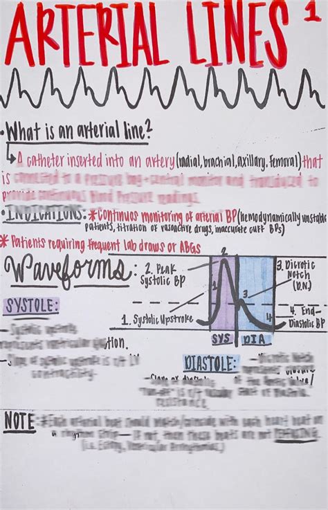 Arterial Line Icu Nurse Reference Sheet Etsy