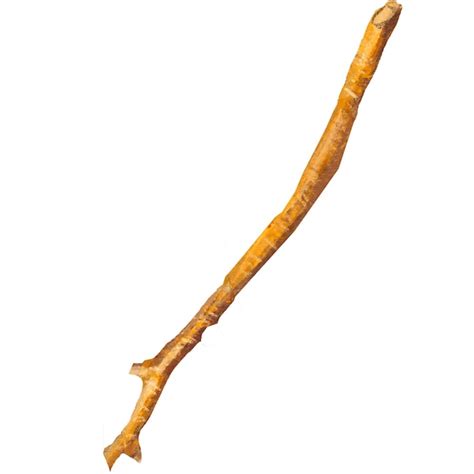 Premium Photo A Stick That Has A Fish On It