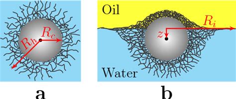 Figure 1 From Dynamics And Wetting Behavior Of Soft Particles At A Fluid Fluid Interface