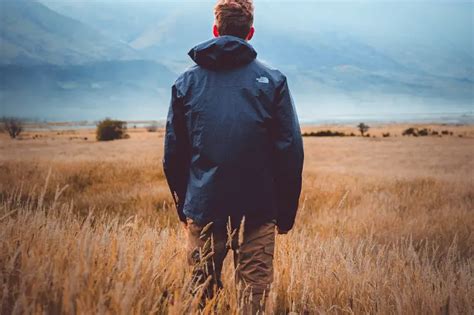 How To Install Python On Alpine Linux Krython