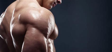 Best Bodyweight Workout Routine For Mass Eoua Blog