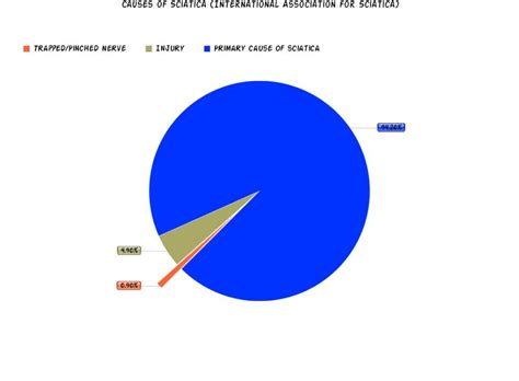 Myth1 “your Nerve Is Trapped And Pinched Somewhere In Your Spine
