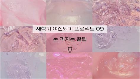 새학기 여신되기 프로젝트 09 눈 커지는 꿀팁시리즈액괴액괴시리즈꿀팁시리즈꿀팁액괴새학기여신눈눈 커지는눈 커지는방법꿀팁시리즈액괴액괴시리즈 Youtube