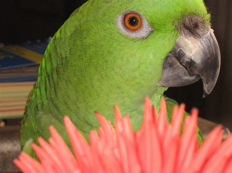 Bart I C U Barbiegee Flickr