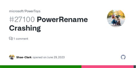 Powerrename Crashing · Issue 27100 · Microsoftpowertoys · Github