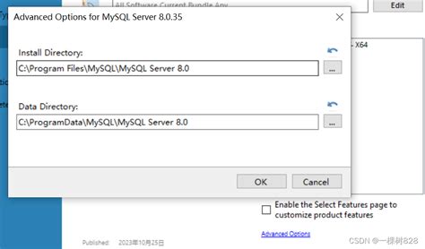 Windows Mysql下载和自定路径安装，以及解决中文乱码问题。mysql下载自定义文件目录 Csdn博客