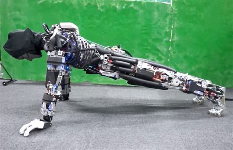 Musculoskeletal Robot Spotted Mimicking Human Interactions