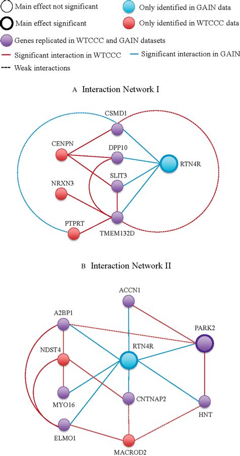 Gene Gene Interaction Networks The Solid Lines Represent Significant