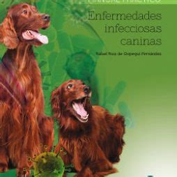 Enfermedades infecciosas felinas Manual práctico Cuellar Ayala