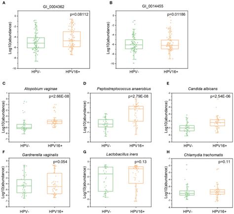The Alterations Of Vaginal Microbiome In HPV Infection As Identified By Shotgun Metagenomic