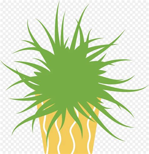 Png Png